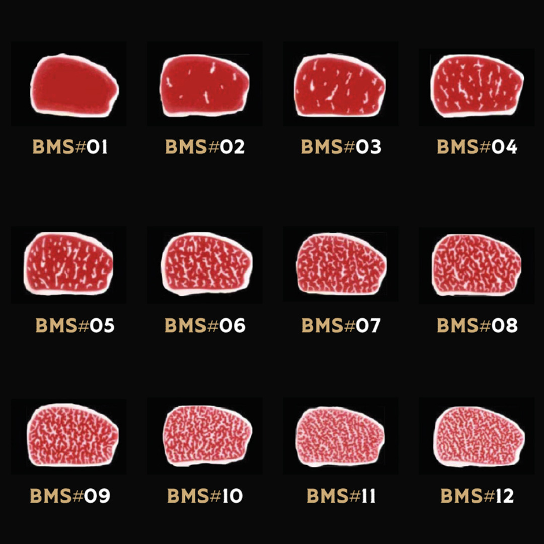 La scala BMS (beef marbling score)